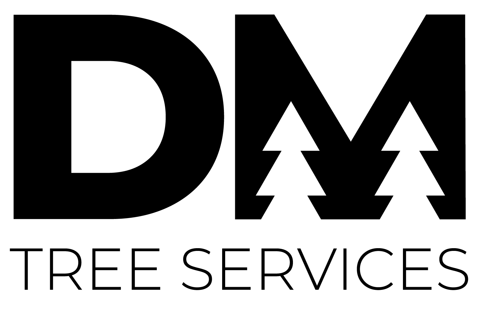 DM Tree Services - Caitlin Ann